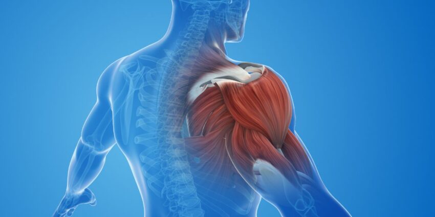 Understanding Shoulder Pain from Using a Computer Mouse